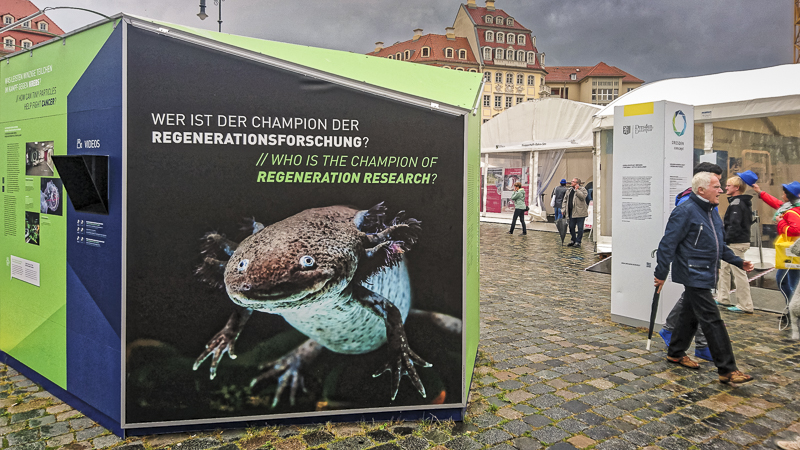 Tag der Deutschen Einheit 2016
