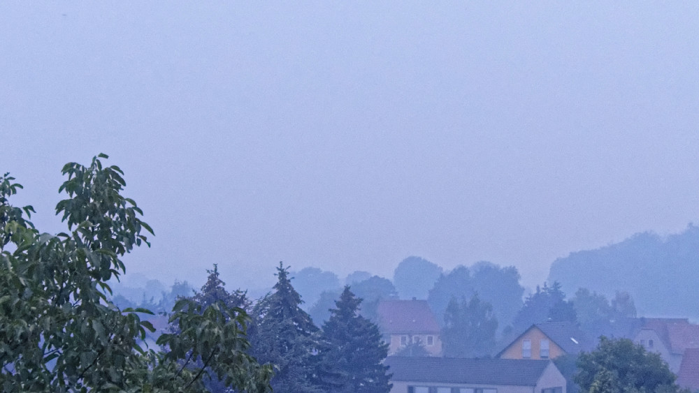 New Leibniz Science Campus researches wild fires and climate